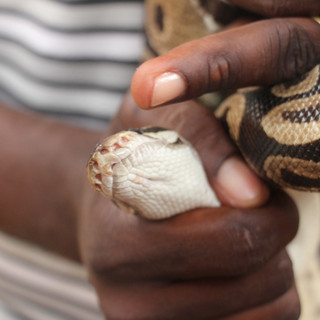 Tourism in Ouidah : travel guide to Ouidah