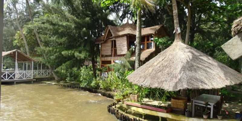 Kafolo lagoon abatta, Abidjan - Attractions, Reviews, Phone Number ...