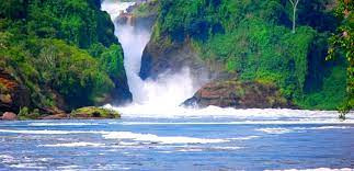 Best Things to do in Mukono 2025 - Tripinafrica